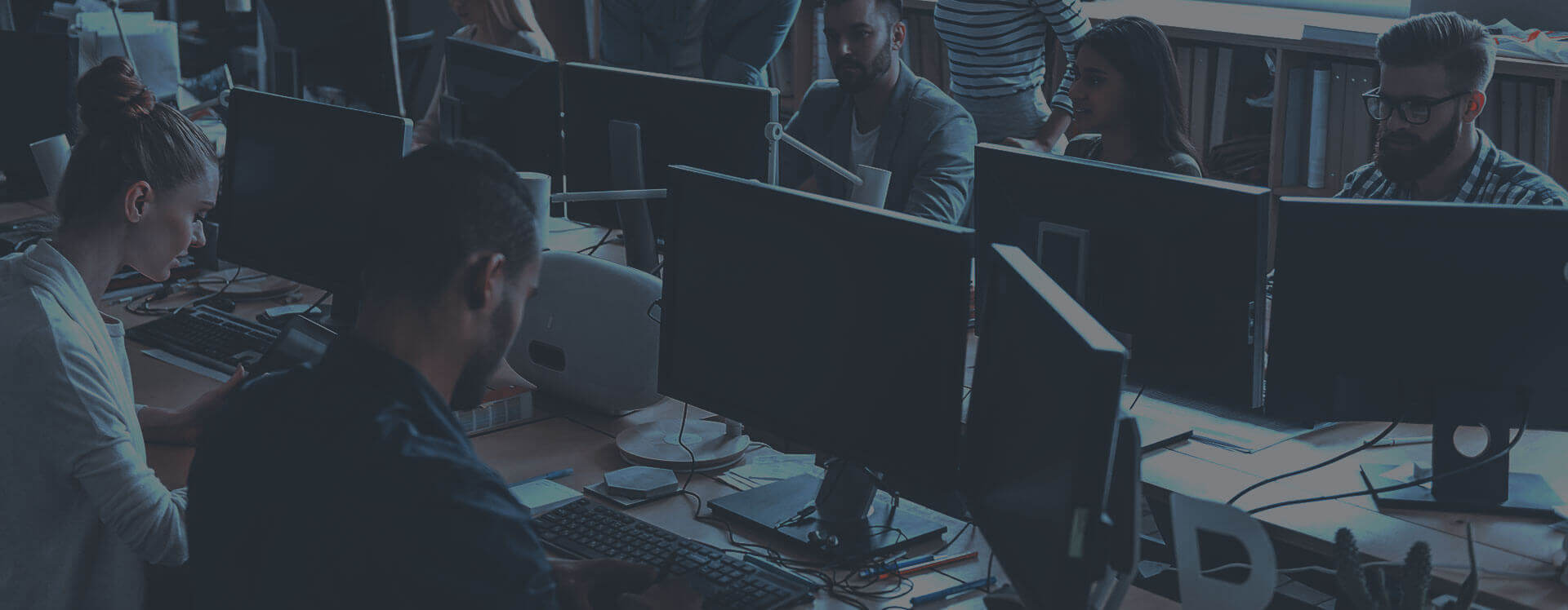 Ascoma Individuals Products